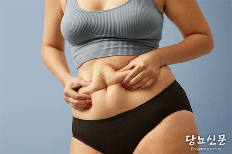 건강과 다이어트의 적 내장지방