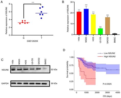 Loss Of Nsun6 Inhibits Osteosarcoma Progression By Downregulating