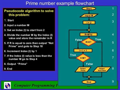 computer programming lecture 2