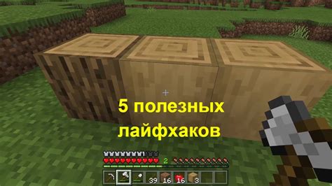 Как сделать ошкуренное бревно каменистую землю ведро камнетёс