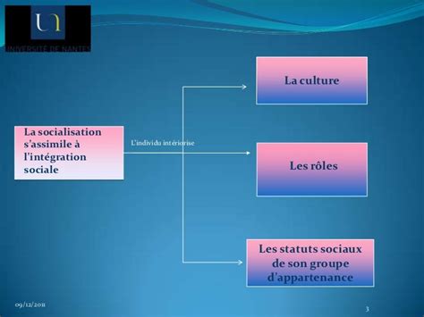 La Socialisation