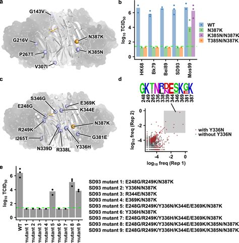 Permissive Mutations For Na N387k In Mos99 And Sd93 A Locations Of