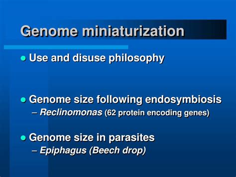 Ppt Genome Evolution Powerpoint Presentation Free Download Id 4665093