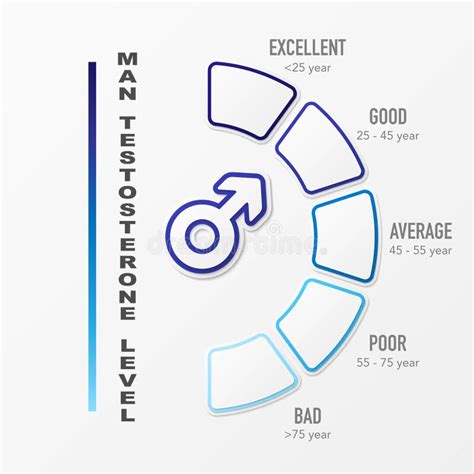 Testosterone Level Chart Stock Vector Illustration Of Biological