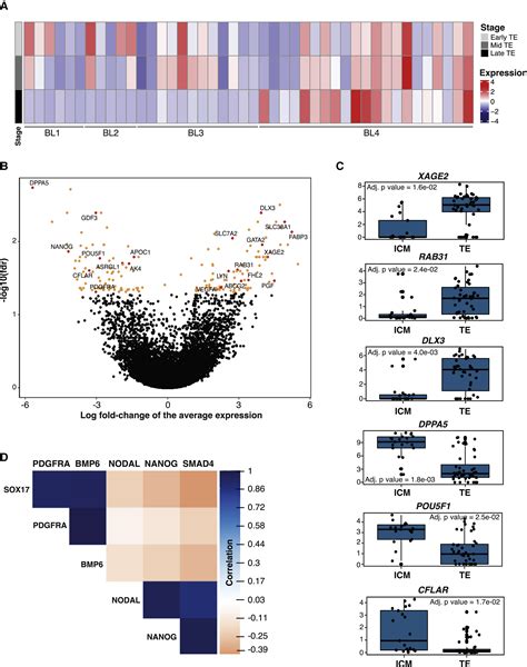 Single Cell Multi Omic Analysis Profiles Defective Genome Activation