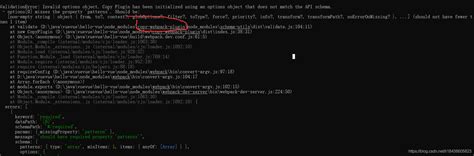validationerror invalid options object copy plugin has been