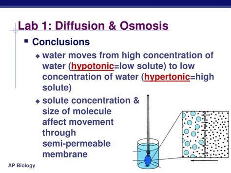 Ppt Ap Biology Powerpoint Presentation Id 302778