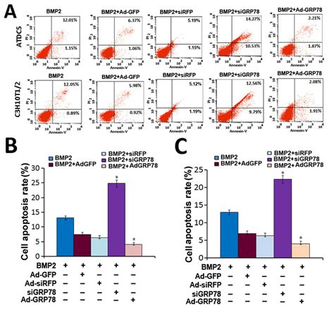 Cellular Apoptosis Assay With Fcm A Flow Cytometry Analysis With