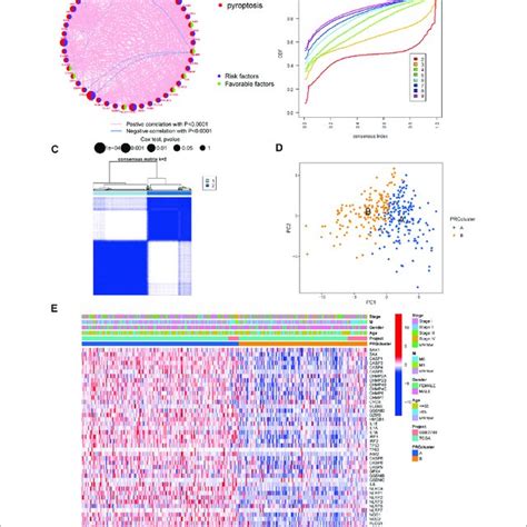 Analysis Of Gsva Enrichment And Tme Immune Cell Infiltration A The