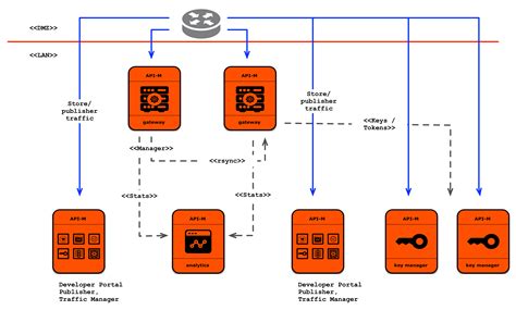 wso2 api manager for vmware tanzu beta vmware tanzu partner docs