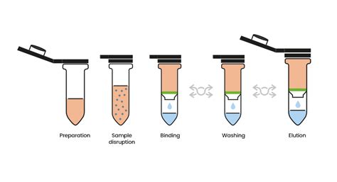 Danagene Microbial Dna Kit Danagen