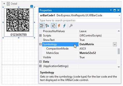 ecc200 data matrix reporting devexpress documentation