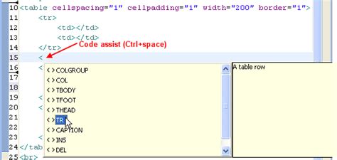 html jsp editor genuitec