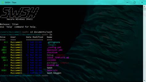 github securewindowsshell swsh secure windows shell