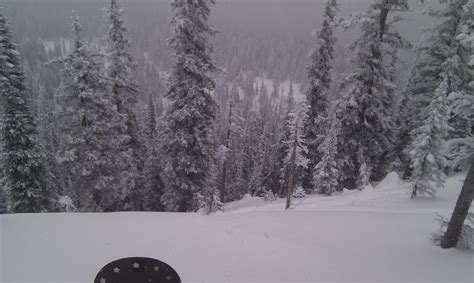 pow day at big white secret trees snowboarding