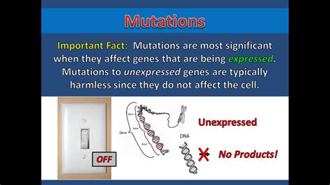 Introduction To Mutations Youtube