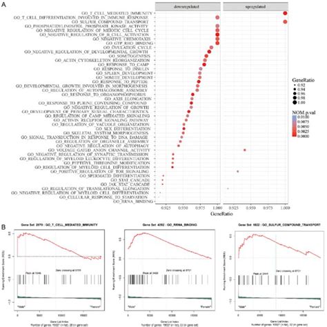 pdf identification of differentially expressed genes between male and