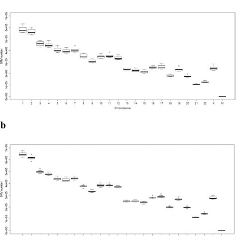 descriptive statistical distributions of snvs on all the chromosomes