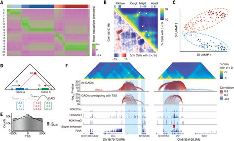 Linking Genome Structures To Functions By Simultaneous Single Cell Hi C