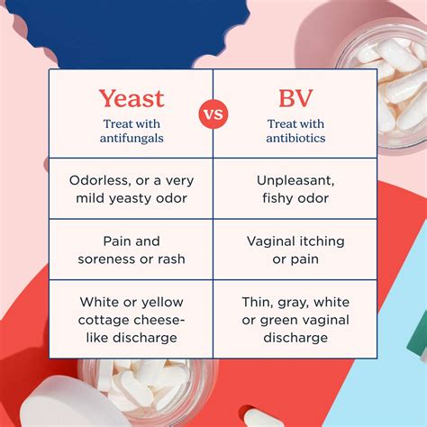 Basic Probiotics For Vaginal Health Wisp