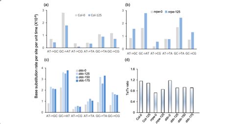 Spectrum Of Single Base Substitution Mutations Rates Of Single Base