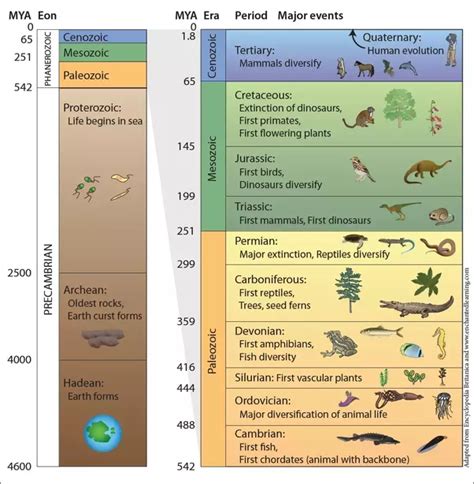 Geological Time Scale Qr Learning Platform