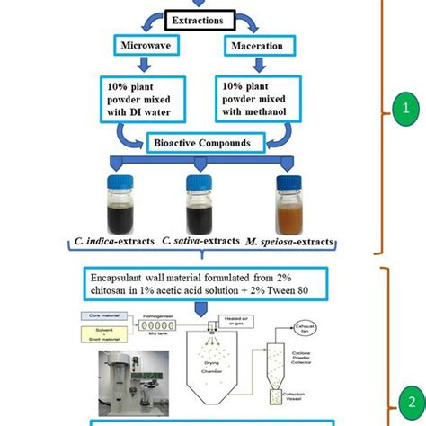 Procedure For Bioactive Compound Extraction 1 And The Download