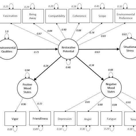 Structural Equation Modeling Showing The Relations Between The