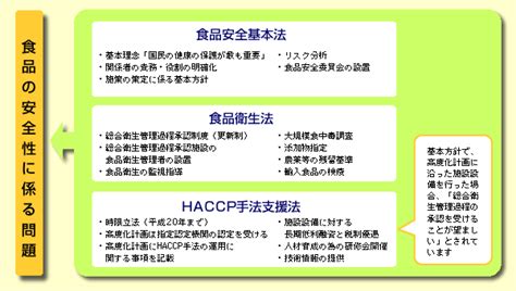 食品の安全性に係る問題の図解