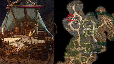 How To Get Safeguard Shield In Baldurs Gate 3 Deltias Gaming