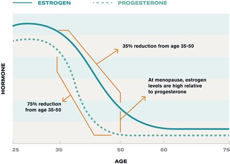 Everything You Need To Know About Hormone Optimization For Women
