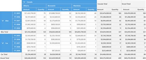 display options in uwp pivot grid control syncfusion