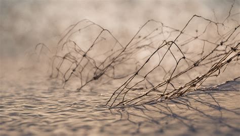 migration is a growing issue but it remains a challenge to define who