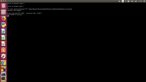 stack smashing detected ubunto on windows damerguy