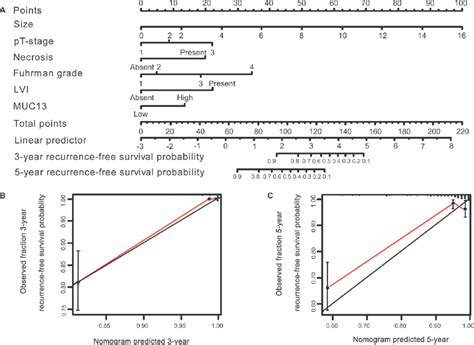 nomogram and calibration plot for rfs prediction in patients with
