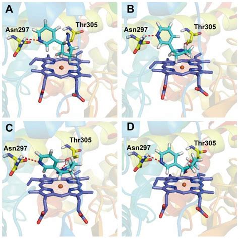 Optimal Docking Results Of R Or S Nnn With Different Cyp450
