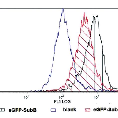 Schematic Structure Of Diphtheria Toxin Dt Download Scientific Diagram