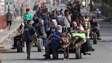عدد النازحين من شمال غزة للجنوب يصل إلى 30 ألف شخص الوقائع الإخبارية