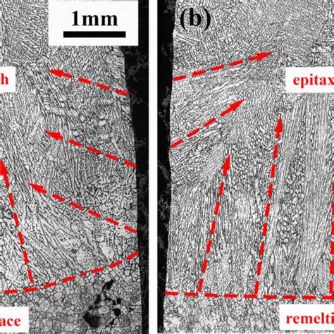 Longitudinal Section Microstructures Of The Samples A 1g Sample And