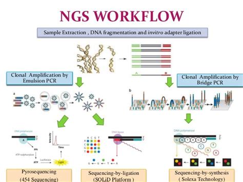 Next Generation Sequencing