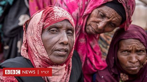 ሕግታት ራዕዲ ኣሜሪካ፡ ንዕደላ ረድኤት ሶማልያ ዕንቅፋት ድዮም Bbc News ትግርኛ
