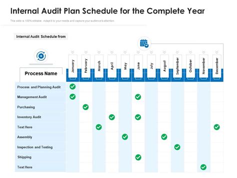 Internal Audit Plan Schedule For The Complete Year Presentation
