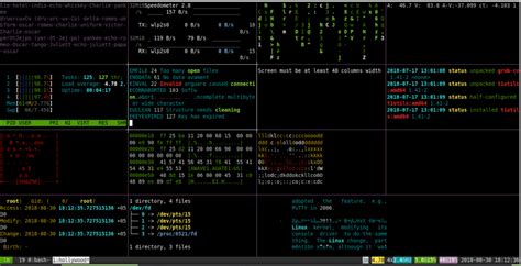 transform your linux mint ubuntu terminal into a geek