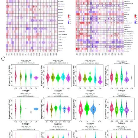 Correlation Of Gnl3l Expression With Tumor Infiltrating Immune Cells