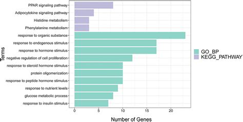 The Gene Ontology Go Functional Enrichment Analysis And Kyoto