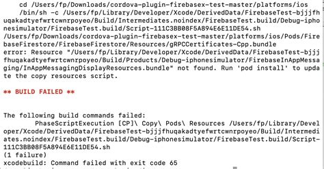 ios build failed with command phasescriptexecution failed exit code 65