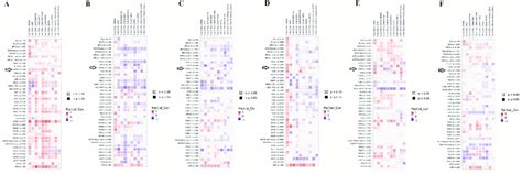 Timer Based Spearman Correlational Analysis Between The Expression Of