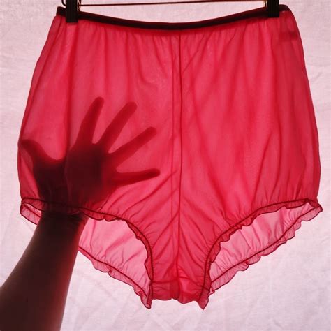 Vtg Vanity Fair Nylon Panties Briefs Sissy Sheer Pink Ruffles High 27