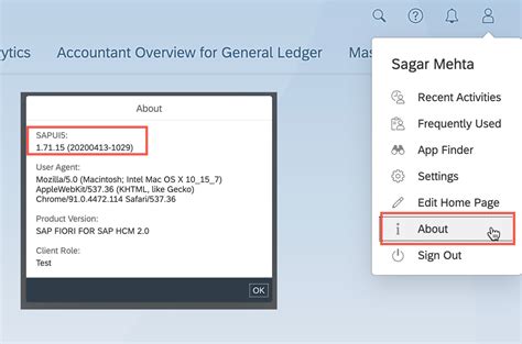 how to check the ui5 version you have installed sap blogs