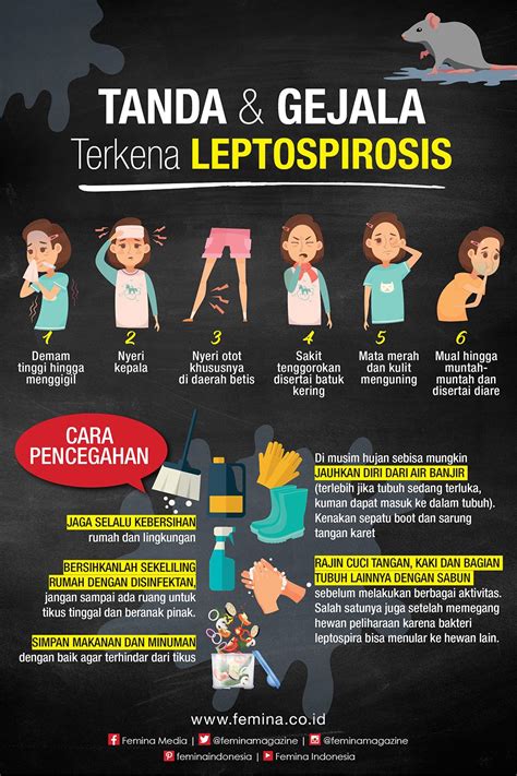Leptospirosis Infographic